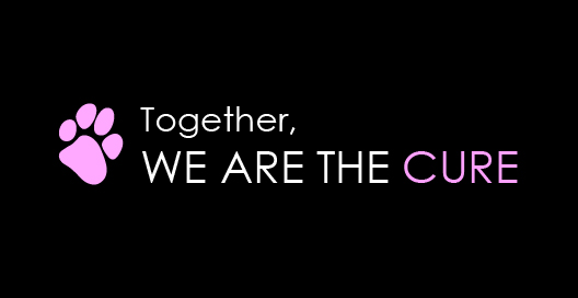 Our Dog Charity Mission - The National Canine Cancer Foundation