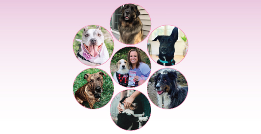 FREE Dog Planner and Wellness Journal - National Canine Cancer Ftd