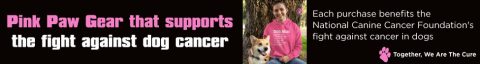 Vaginal and Vulvar Tumors - The National Canine Cancer Foundation