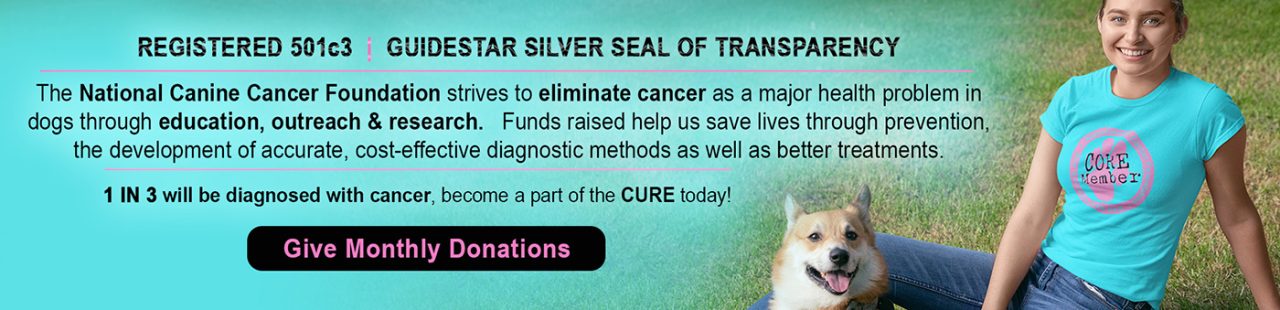 Dog Cancer Info & Help | The National Canine Cancer Foundation