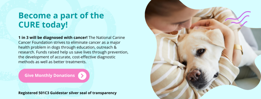 Squamous Cell Carcinoma (SCC): Oral & Toe Cancers In Dogs