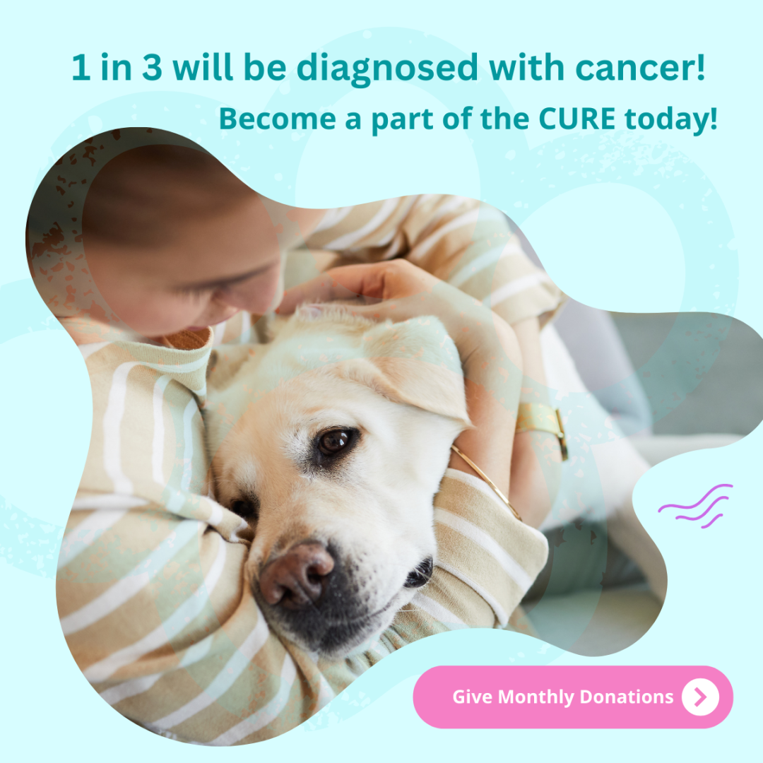 What You Need to Know about Gastric Cancer or Stomach Cancer in Dogs